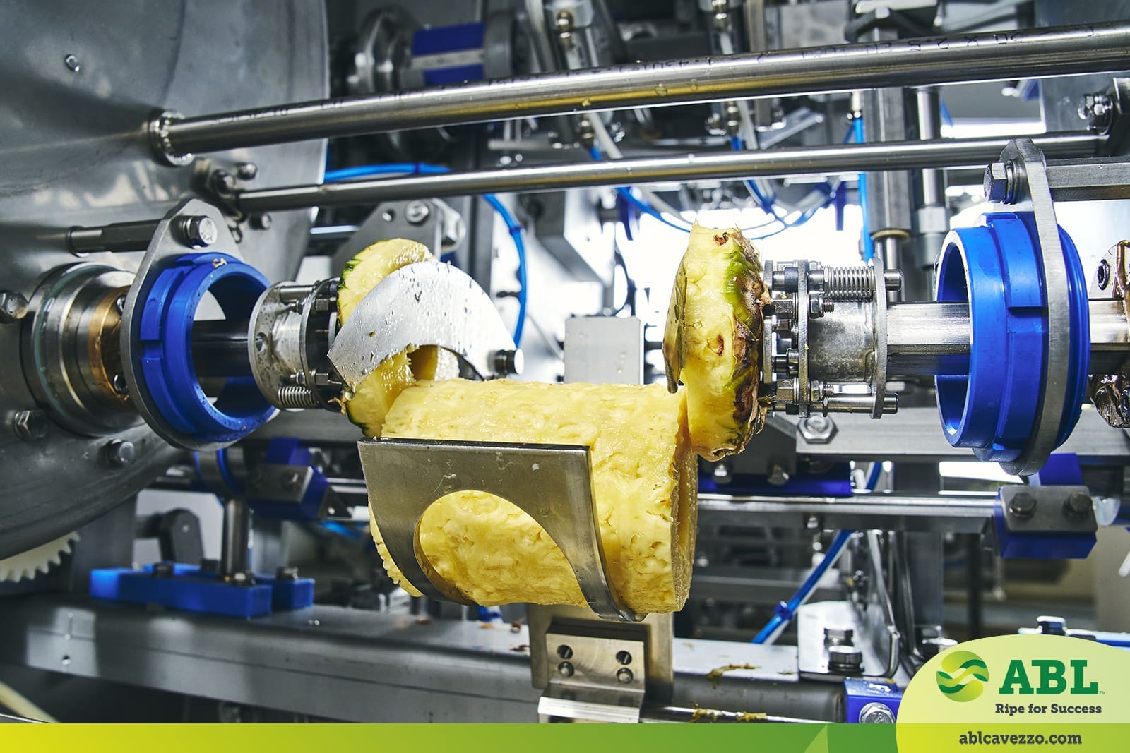 AP15 Industrial Melon & Pineapple Peeler