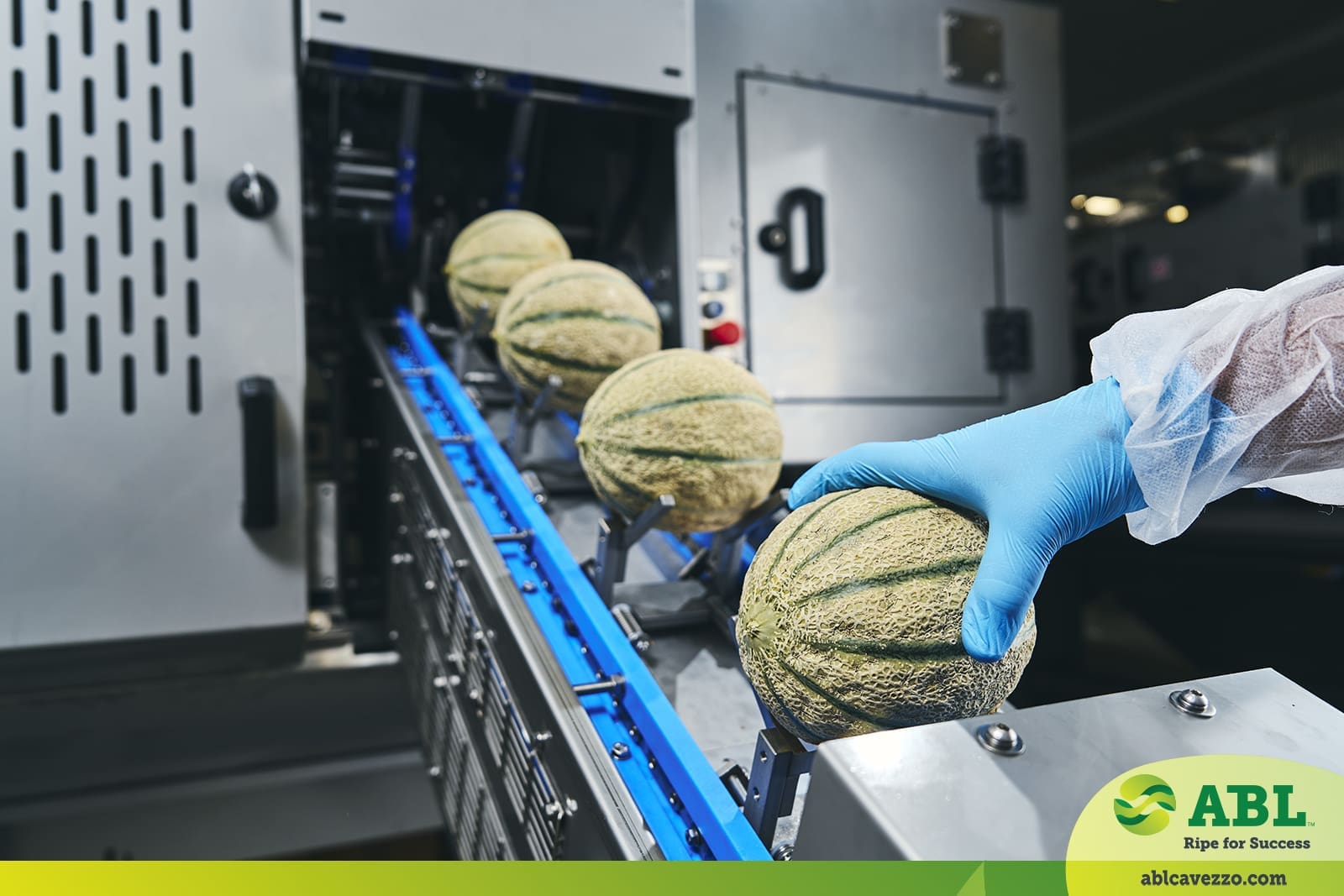 AP15 Industrial Melon & Pineapple Peeler